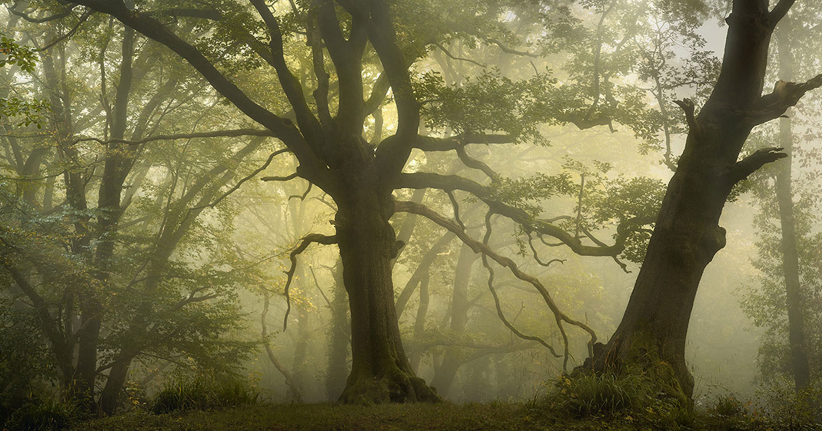 Nigel Morton | UK Landscape Photography and prints